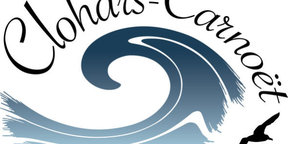 Tableau du conseil municipal - Mairie de Clohars-Carnoët